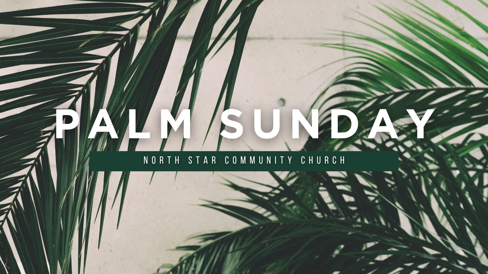 Watch Online - North Star Community Church